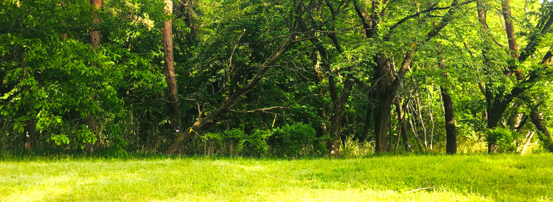 デジタル指示調節計 DB600シリーズ│NISSODEN/日綜電工業株式会社